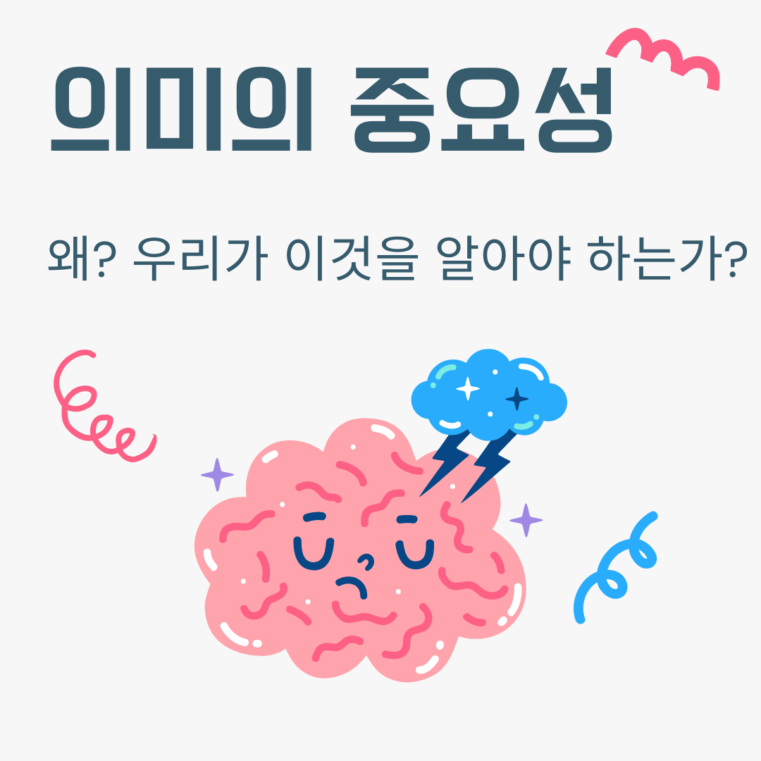 의미가 그렇게 중요한가 뇌는 수학을 어떻게 배우는가